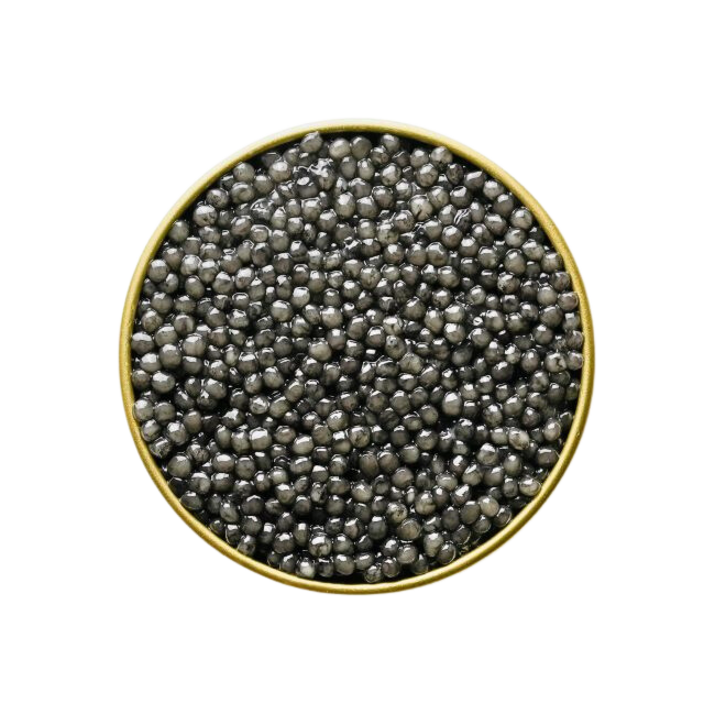 beluga caviar