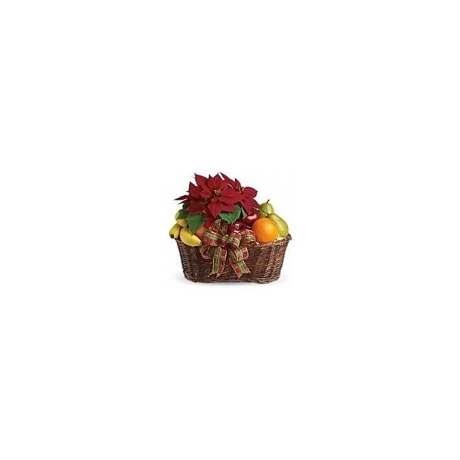 Denver Christmas Fruit and Poinsettia Basket