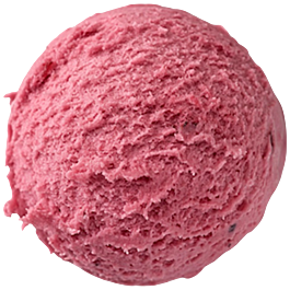 Bindi Forest Berry Sorbetto – 1.24 Gallon Tub | Italian Wild Berry Sorbet